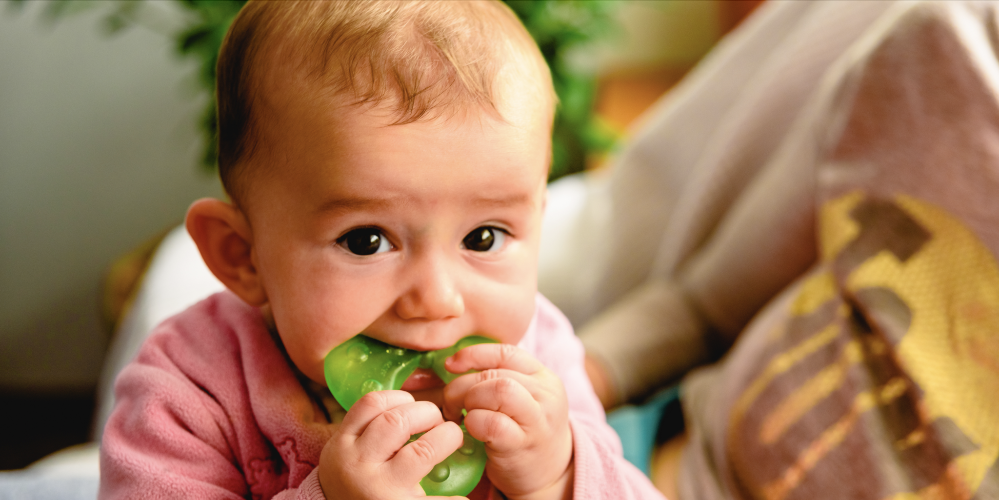 Why Do Toddlers Bite? Understanding the Causes and How to Respond ...